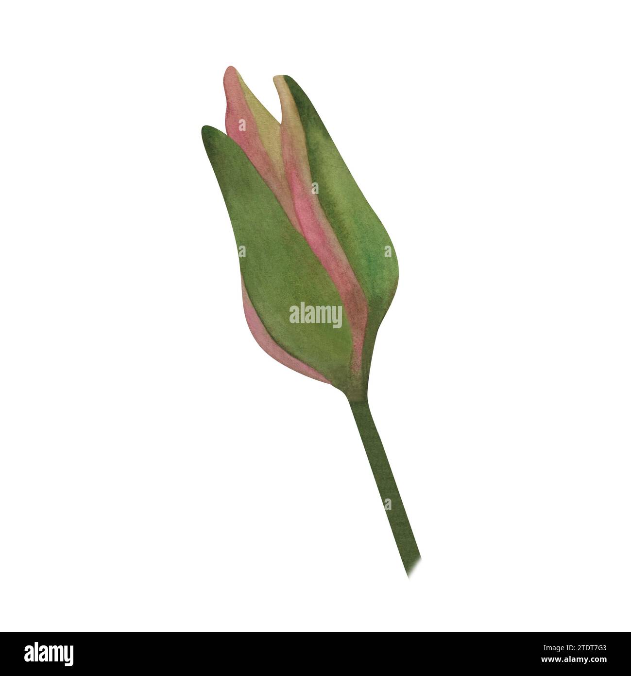 Sprout logos hi-res stock photography and images - Alamy