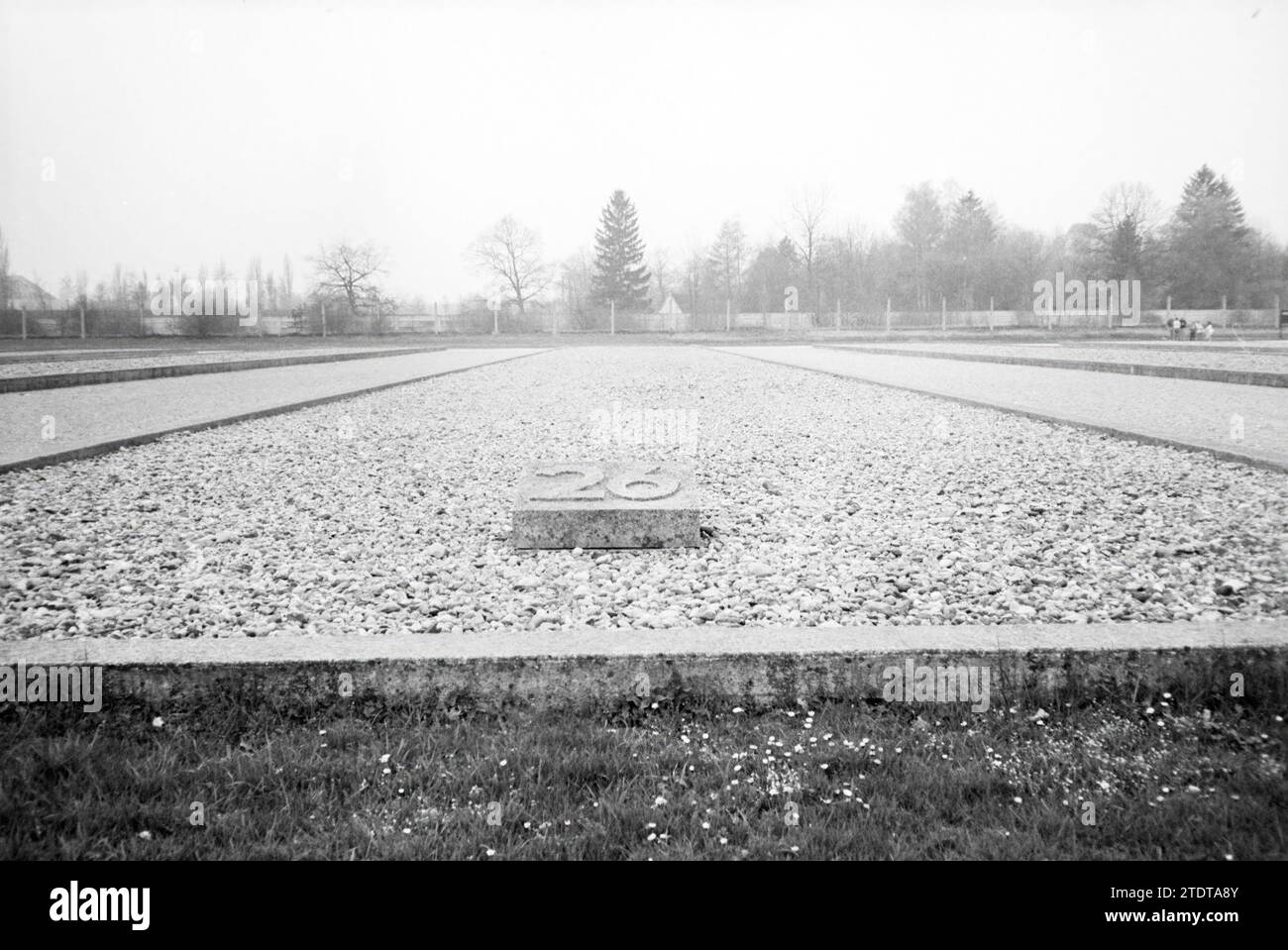 Cemetery bitburg et al hi-res stock photography and images - Alamy