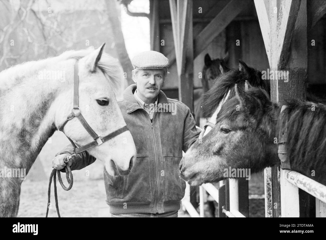 Mr den daas hi-res stock photography and images - Alamy