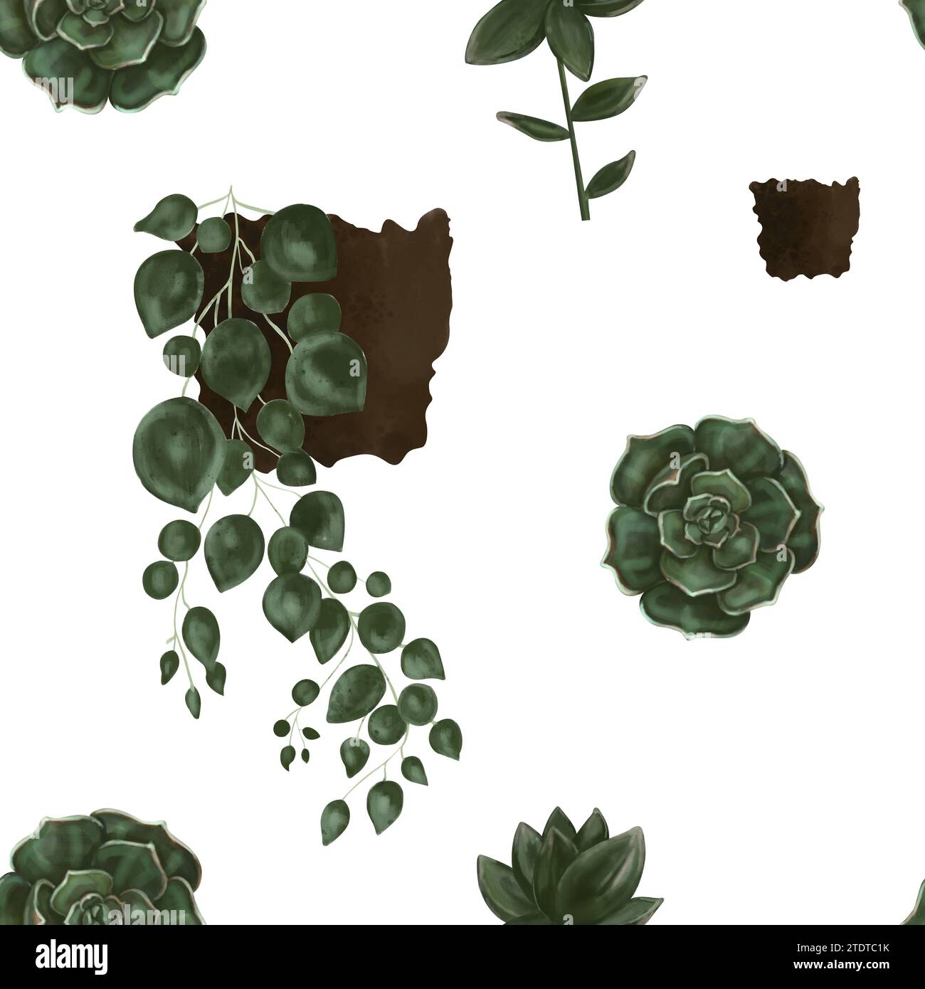 Watercolor seamless pattern with succulents, floral botanical ...