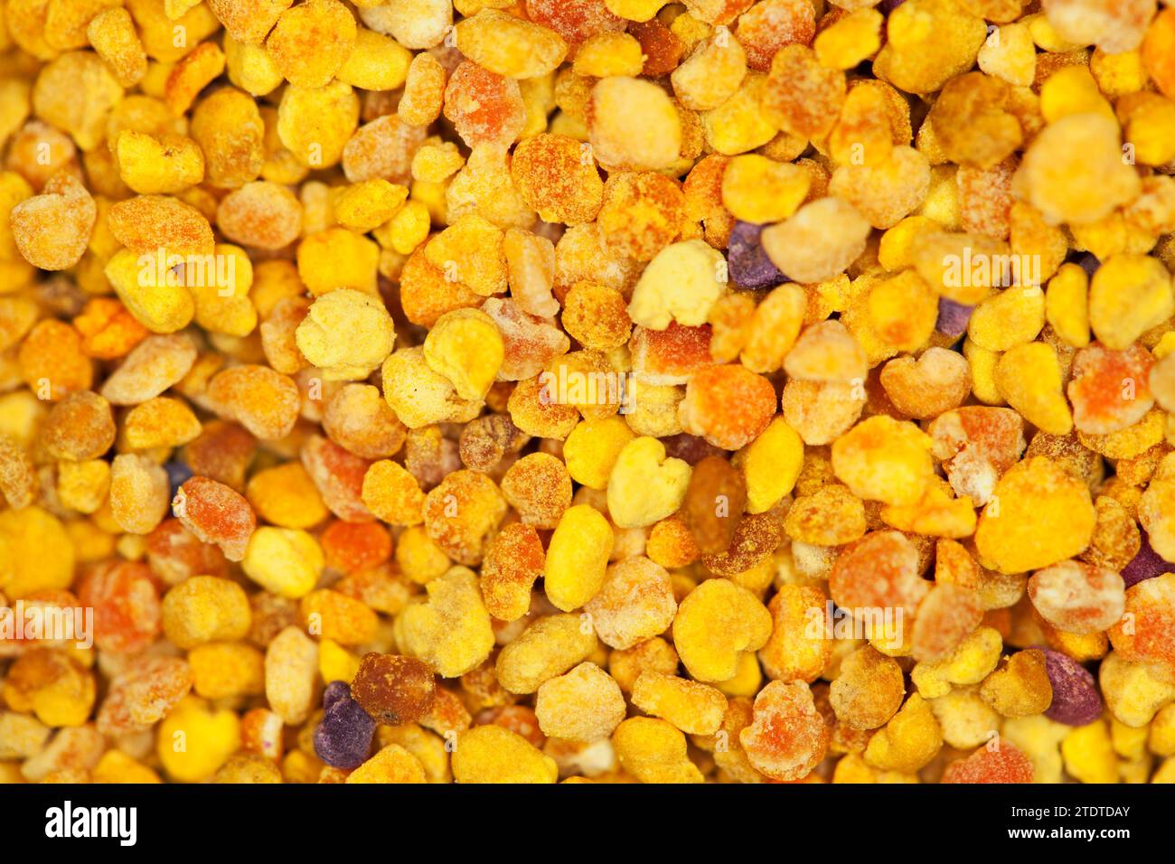 Macro propolis hi-res stock photography and images - Alamy