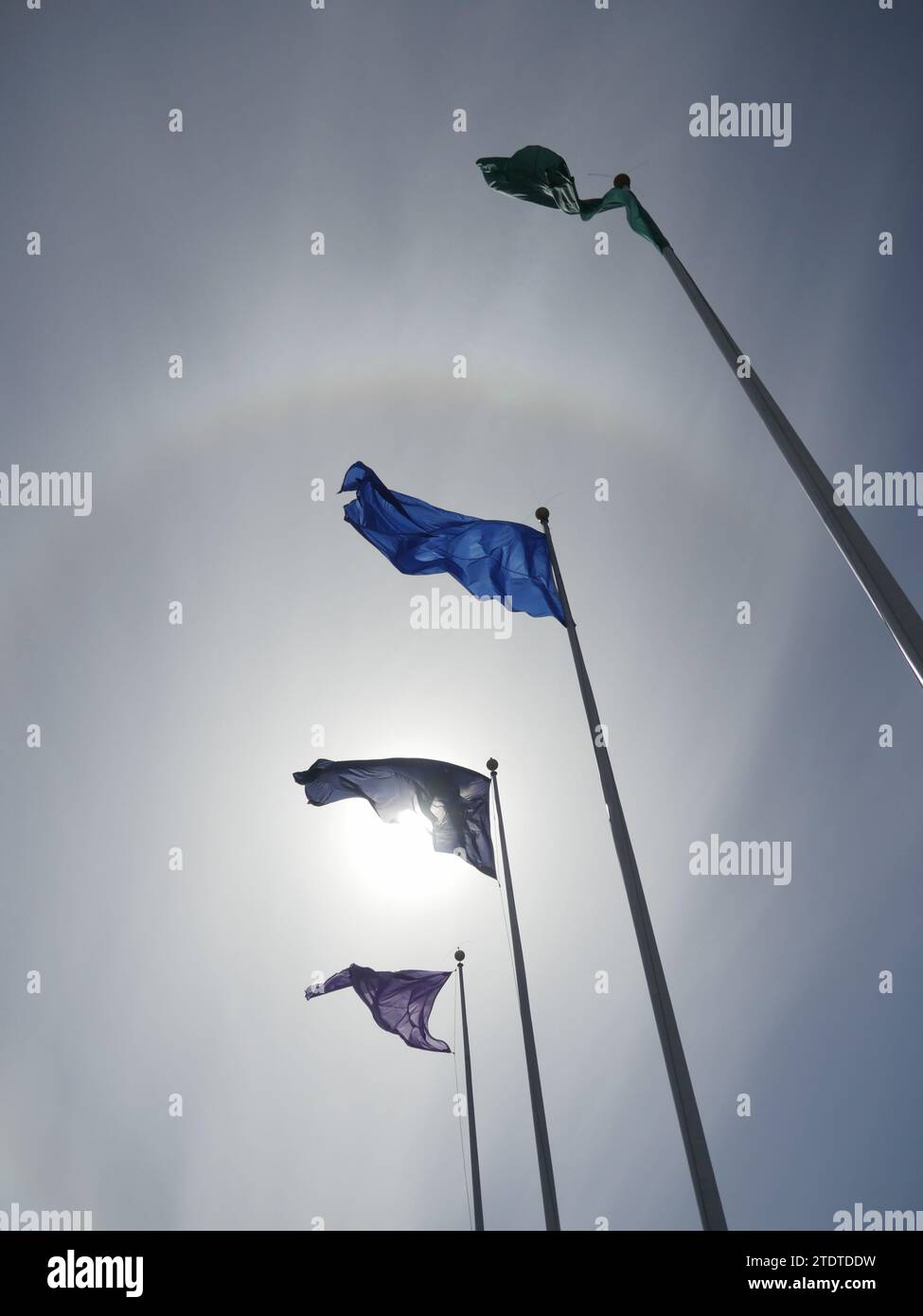 Flags of different colors on flagpoles Stock Photo - Alamy