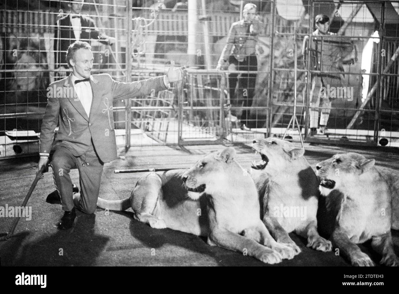 Circus Boltini, Circus, 11-08-1968, Whizgle News from the Past ...