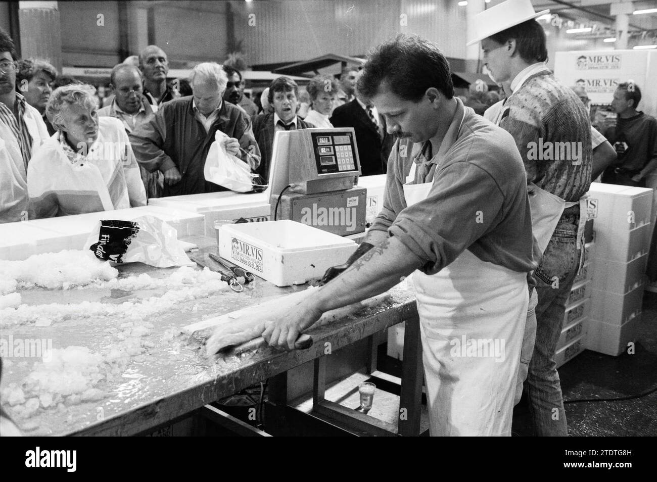 Fisheries Day IJmuiden, Fisheries and others, fishmongers, fishing ...