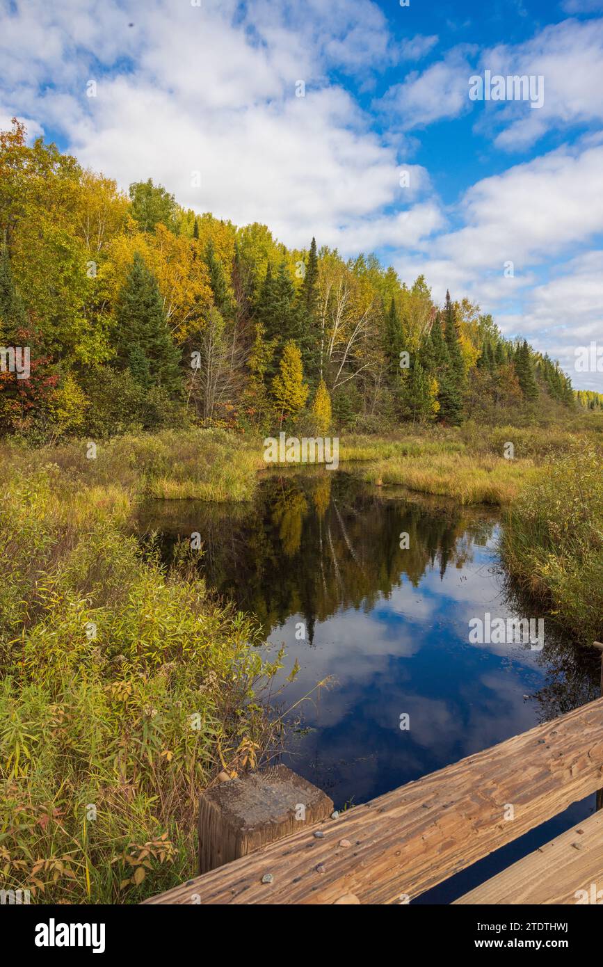 A stream running through a pretty woodland in northern Wisconsin Stock ...