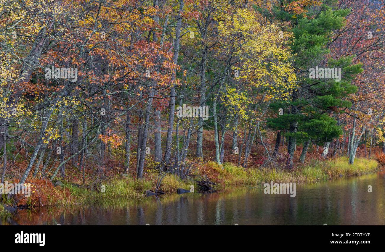 Fall colors on the West Fork of the Chippewa River in northern ...