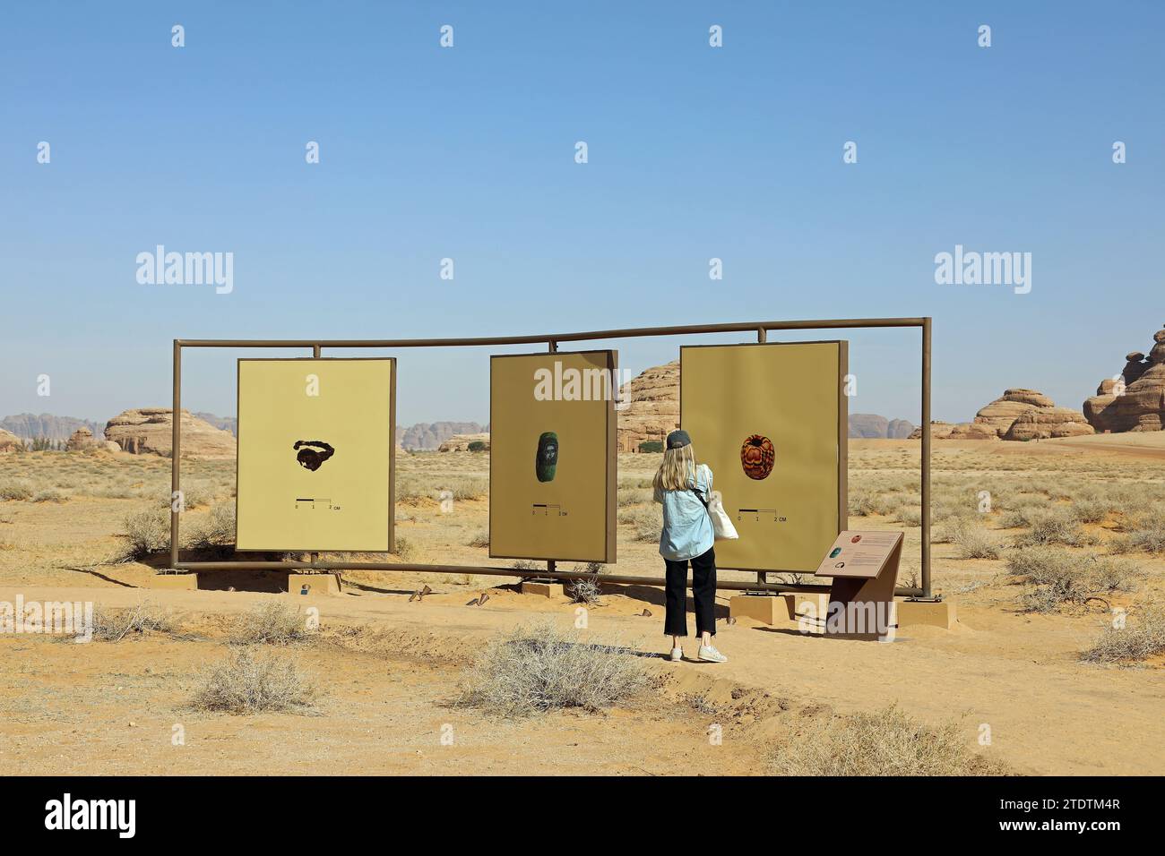 Tourist reading information boards at Hegra on the tour of AlUla Stock ...