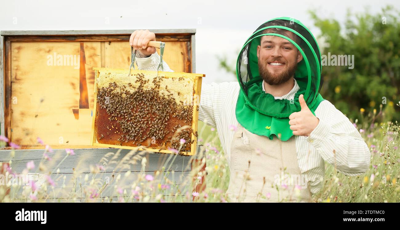 Happy beekeeper showing thumb-up at apiary Stock Photo - Alamy