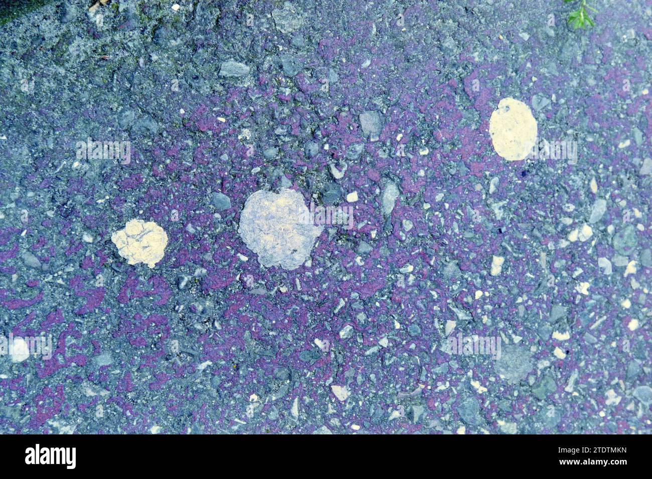 Chewing gum on the street, Haarlem, The Netherlands, 22-07-1998 ...