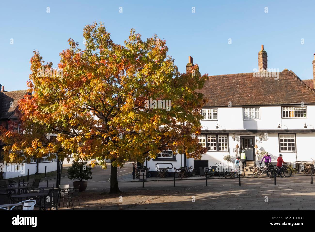 England, West Sussex, Midhurst, The Swan Inn Pub and Hotel Stock Photo ...