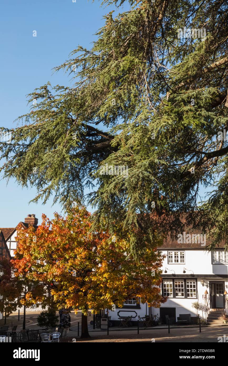 England, West Sussex, Midhurst, The Swan Inn Pub and Hotel Stock Photo ...