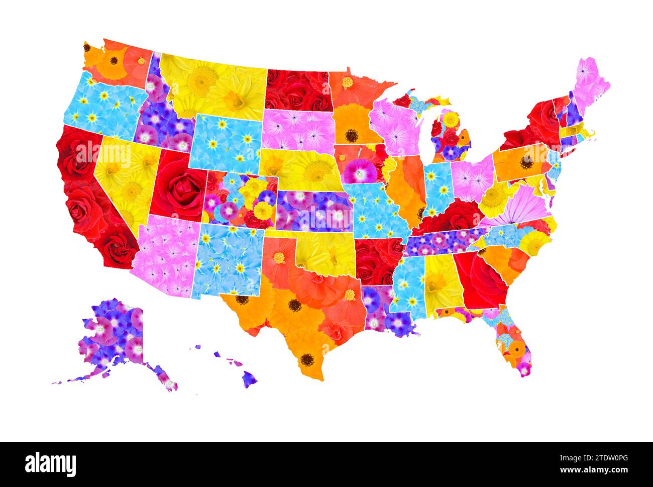 The USA as a map with the individual states in different flowers with a ...