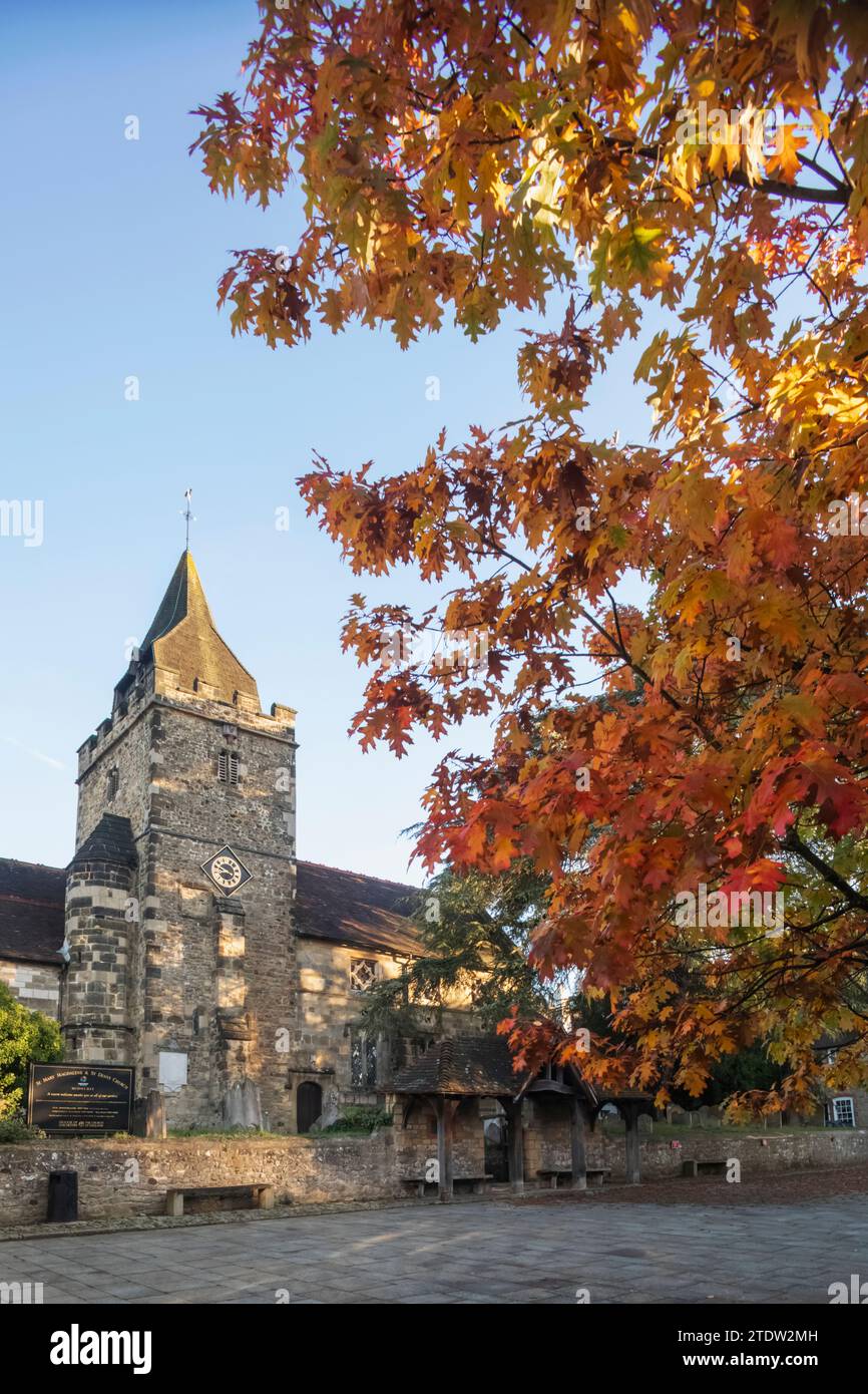 England, West Sussex, Midhurst, Church of St.Mary Magdalen and St.Denys ...