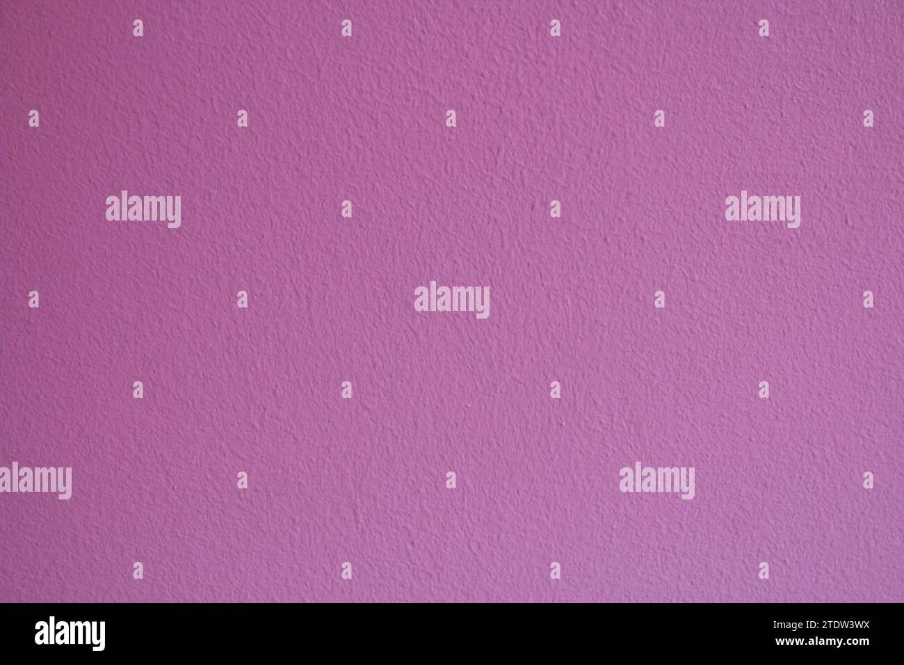 background wall painted with purple paint Stock Photo - Alamy