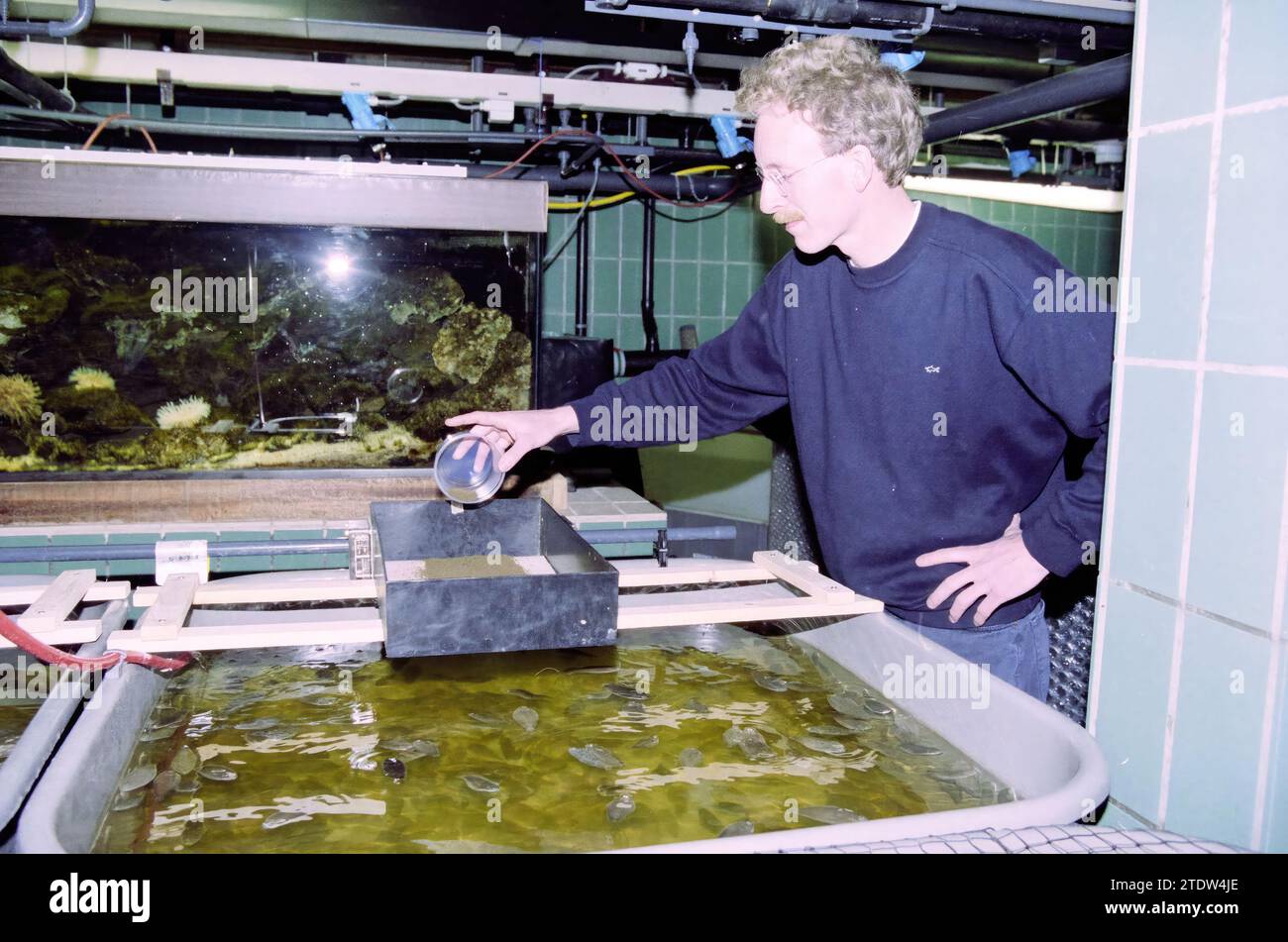 Andries kamstra hi-res stock photography and images - Alamy