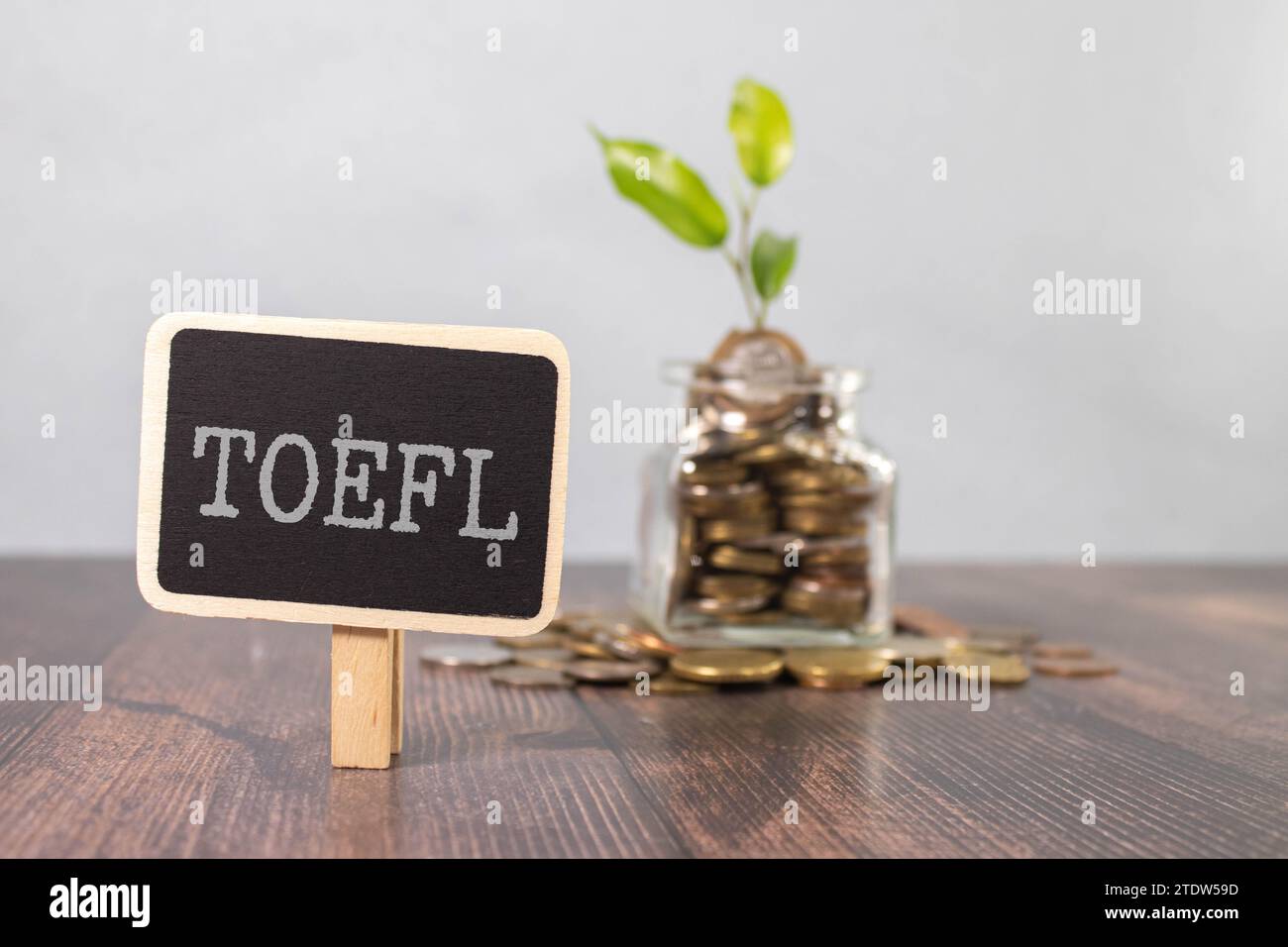 TOEFL - words from wooden blocks with letters, The Test of English as a ...