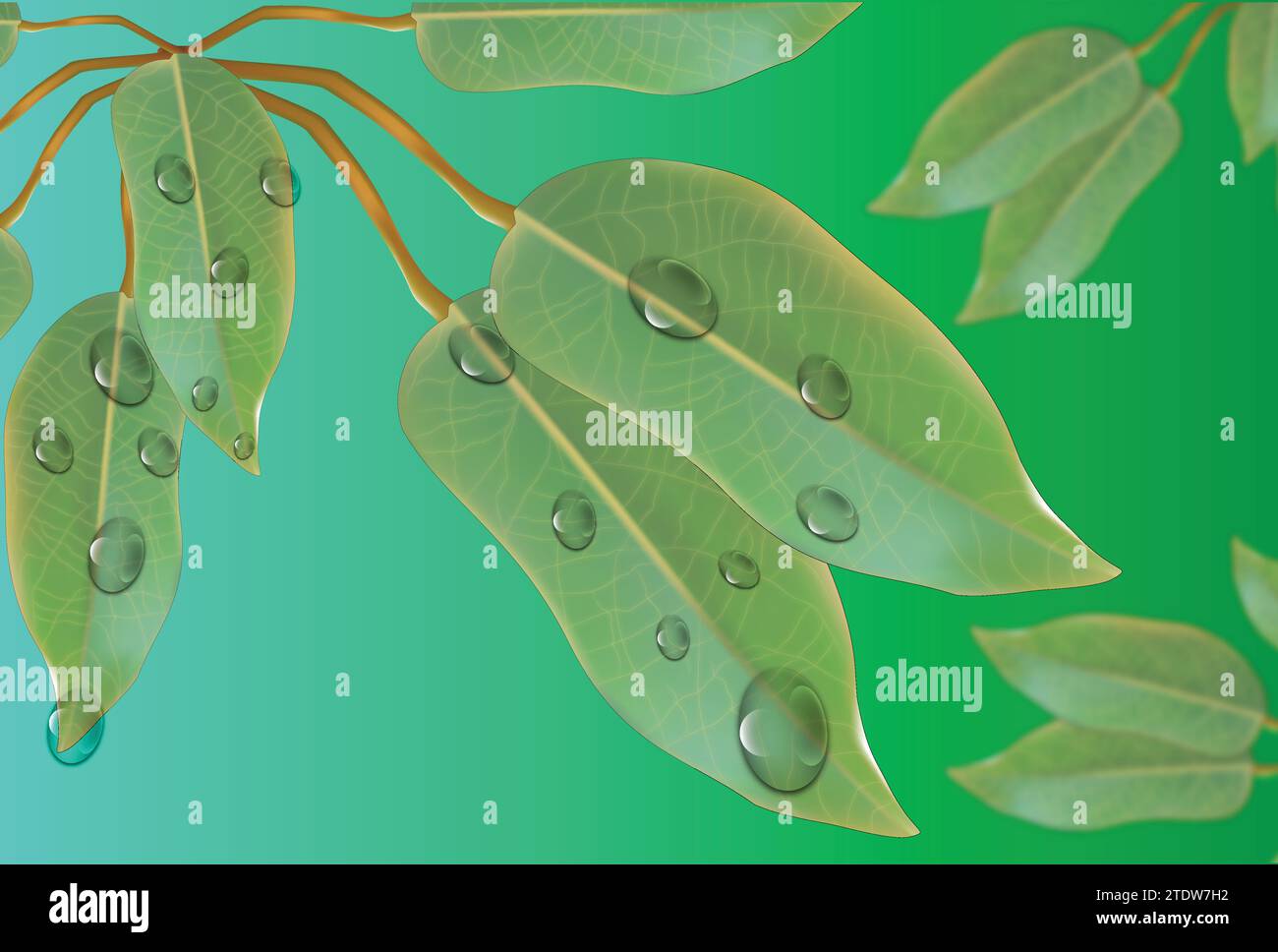 Leaf tree leaves drop Stock Vector Images - Alamy