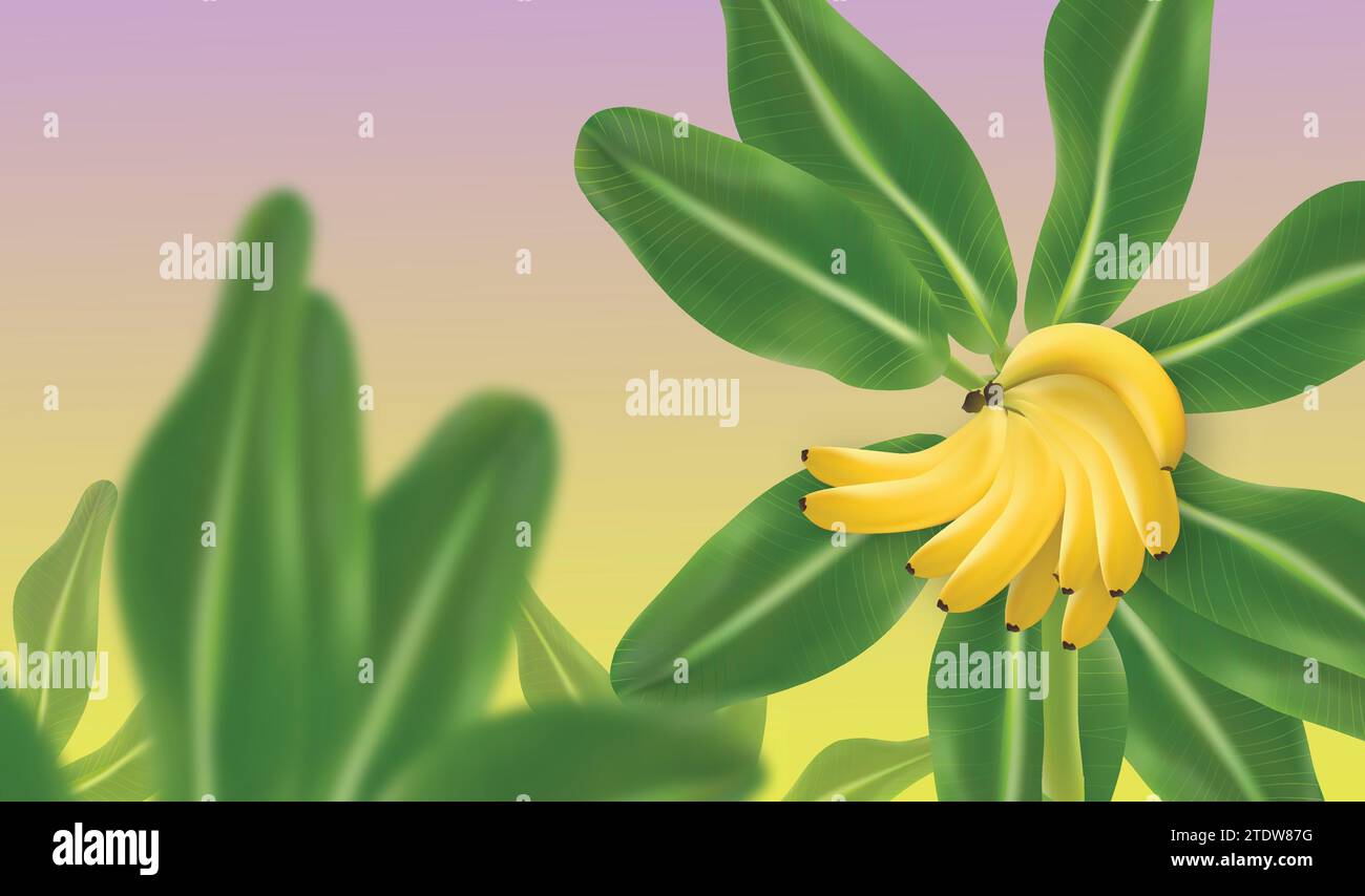 Bunch of banana bananas Stock Vector Images - Alamy