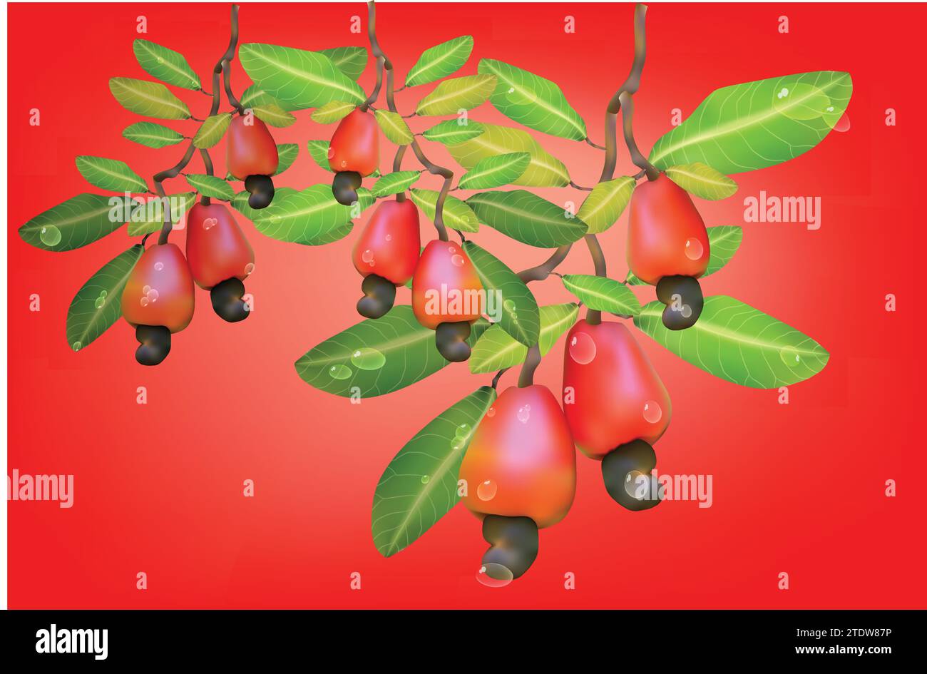 Dishes square Stock Vector Images - Alamy