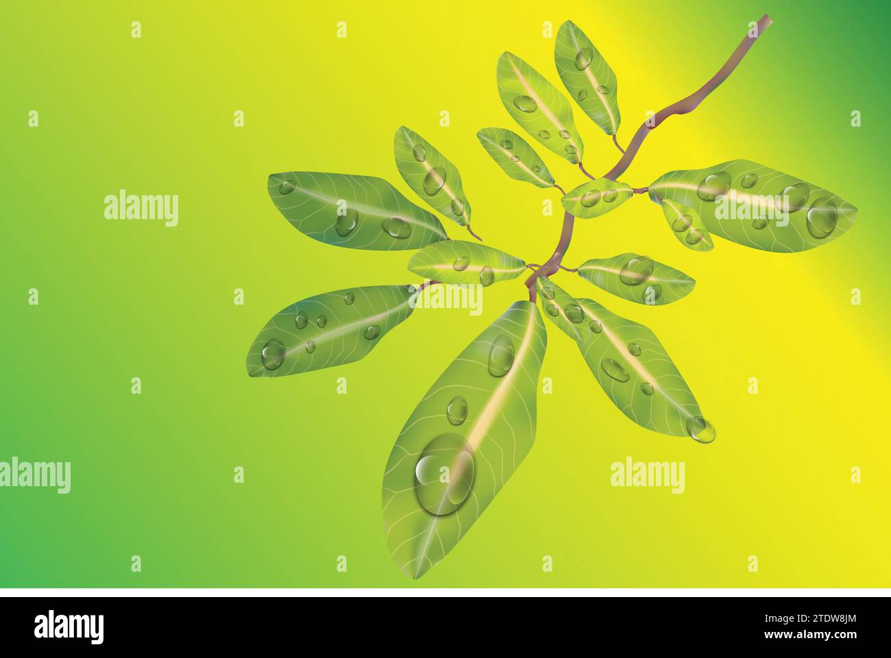 Close up natural water drops Stock Vector Images - Alamy