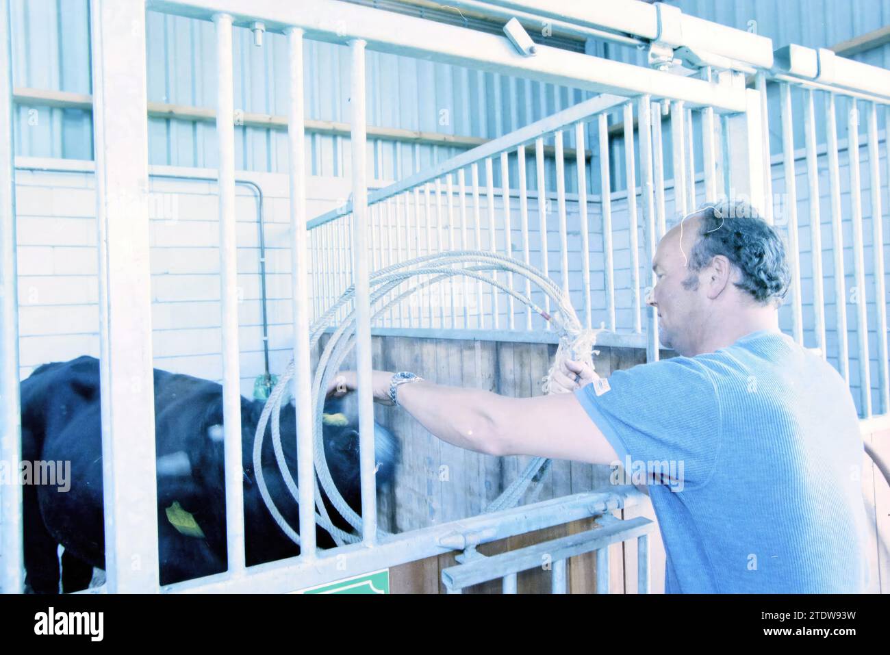 Peter Platel, Velsen, Velsen, 28-08-2000, Whizgle News from the Past ...