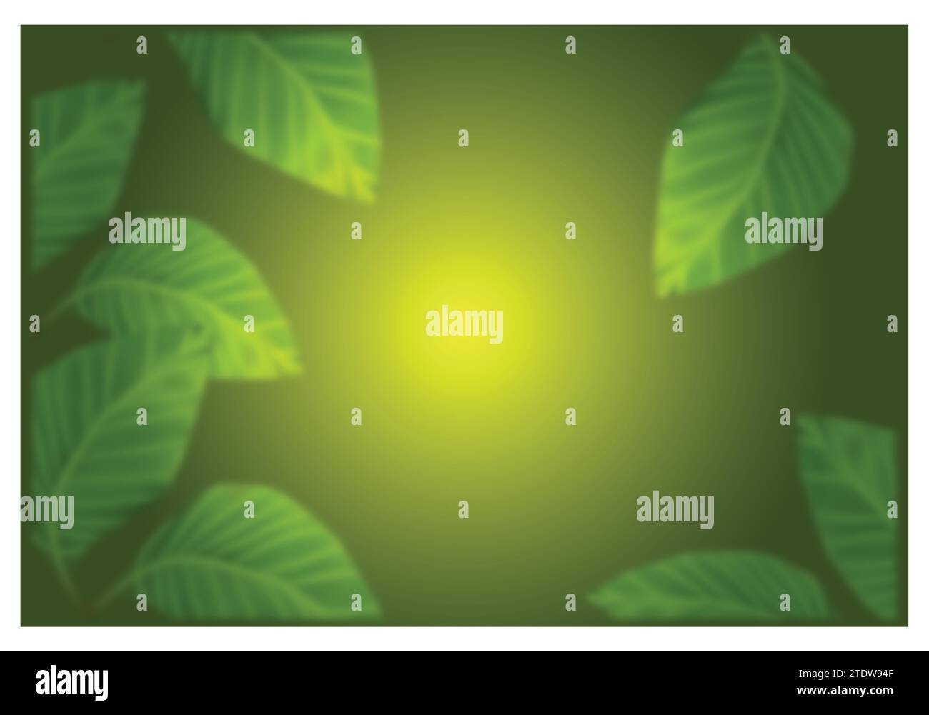 MANGO TREE LEAVES ON GREEN BACKGROUND Stock Vector Image & Art - Alamy