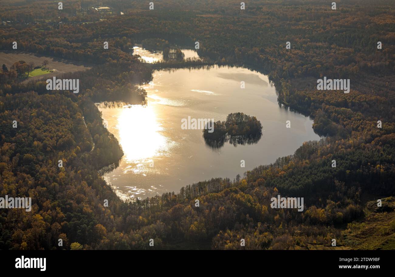 Aerial view, nature reserve NSG Kirchheller Heide, autumn forest with ...