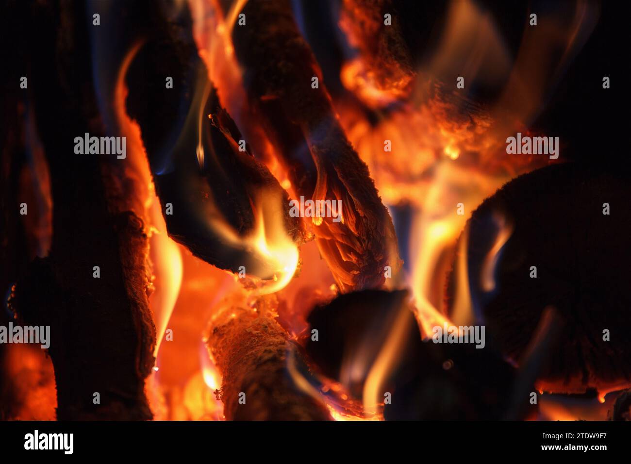 Bright fire of high temperature from natural firewood burns in ...