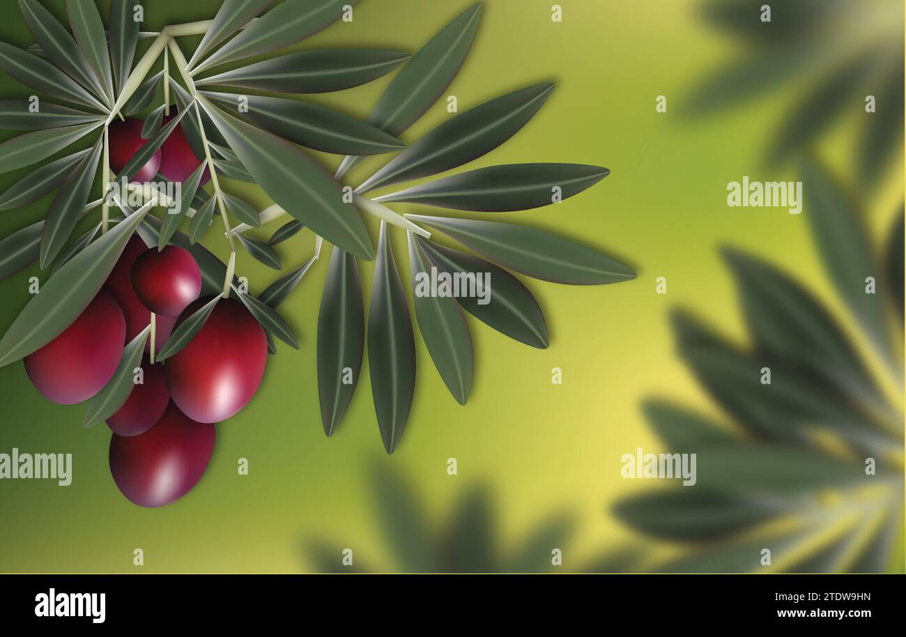 Raw purple vegetables fruit Stock Vector Images - Alamy