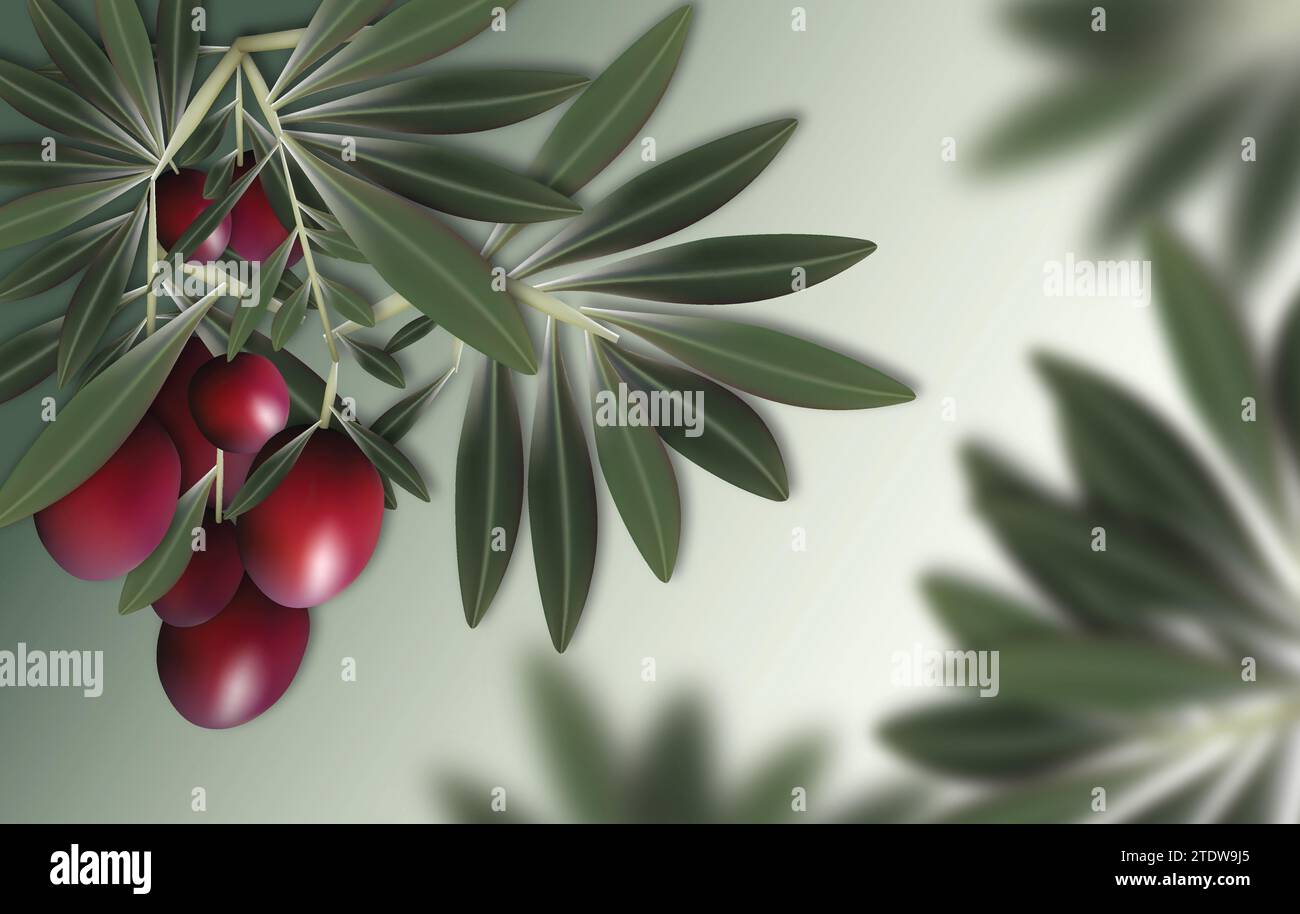 Raw purple vegetables fruit Stock Vector Images - Alamy