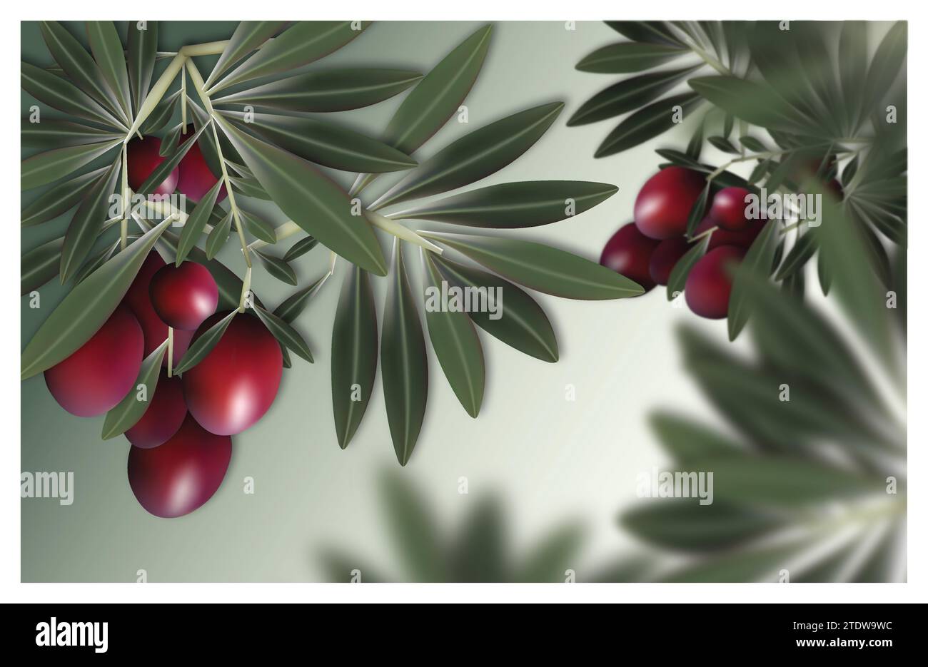 Raw purple vegetables fruit Stock Vector Images - Alamy