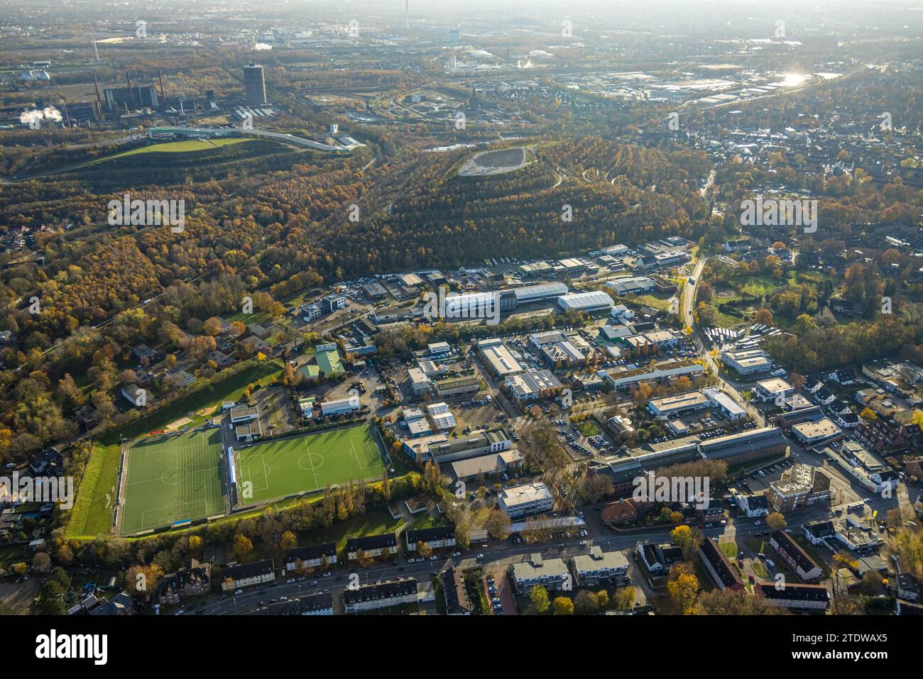 Halde beck hi-res stock photography and images - Alamy