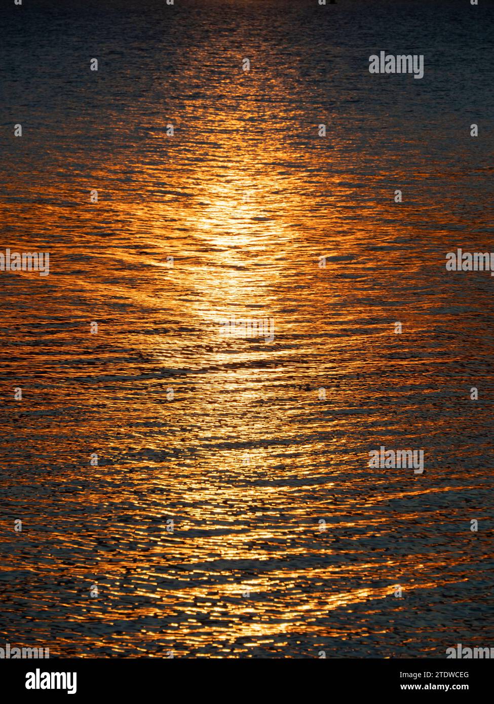 Golden hour waves hi-res stock photography and images - Alamy