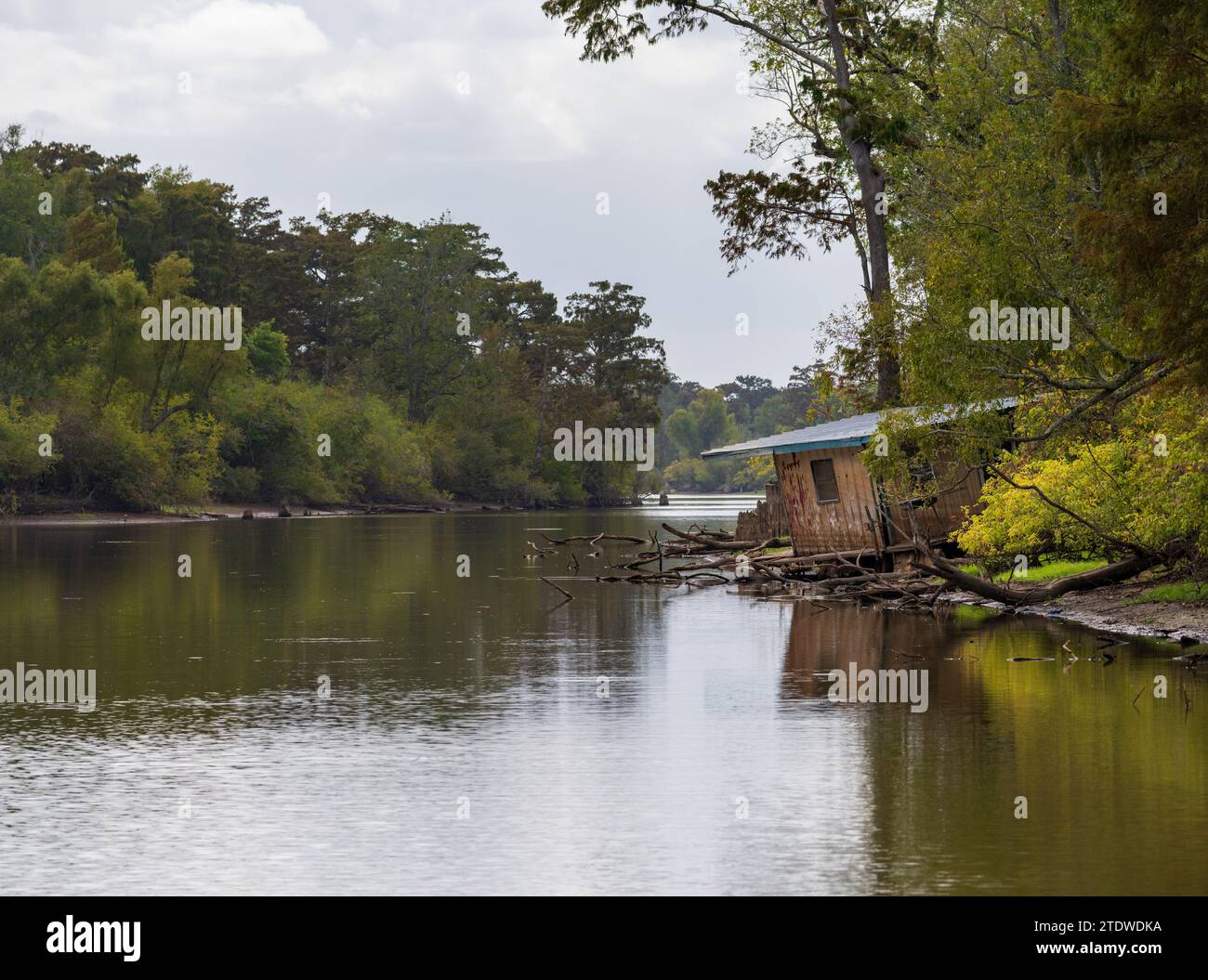 Collapsing abandoned cabin on the banks by calm waters of the bayou of ...