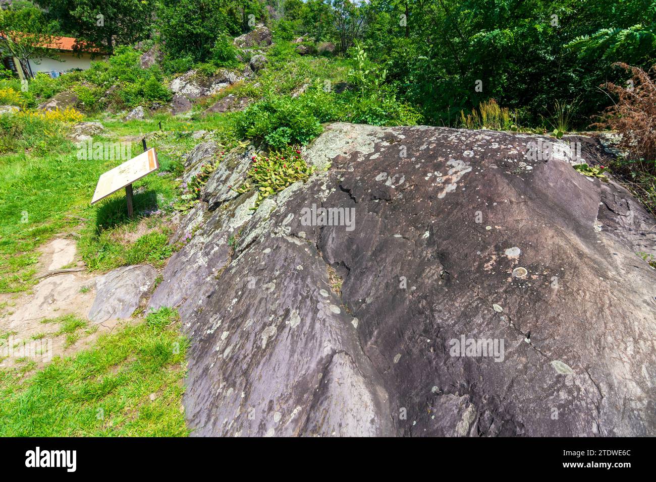 Capo di Ponte: Municipal Archaeological Park of Seradina-Bedolina, rock ...