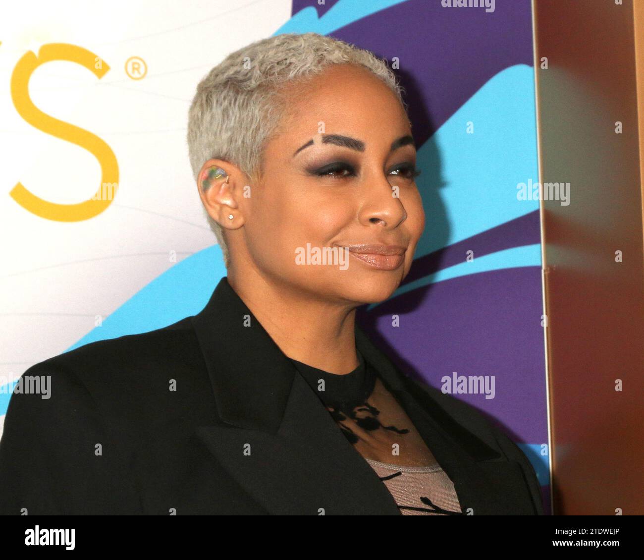 LOS ANGELES - DEC 17: Raven-Symone at the 2nd Children's and Family ...