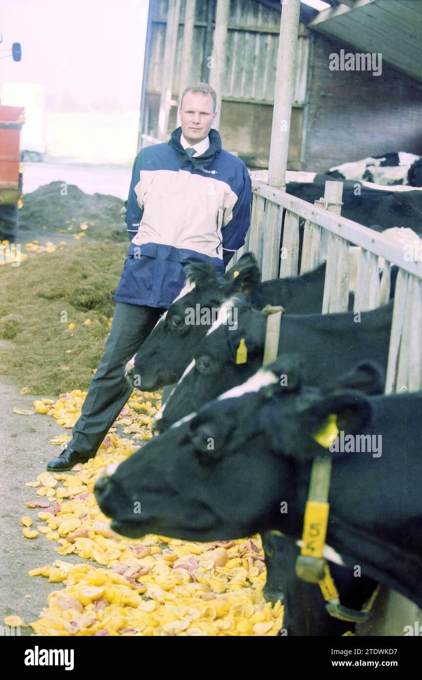 Farmer with cow, Whizgle News from the Past, Tailored for the Future ...