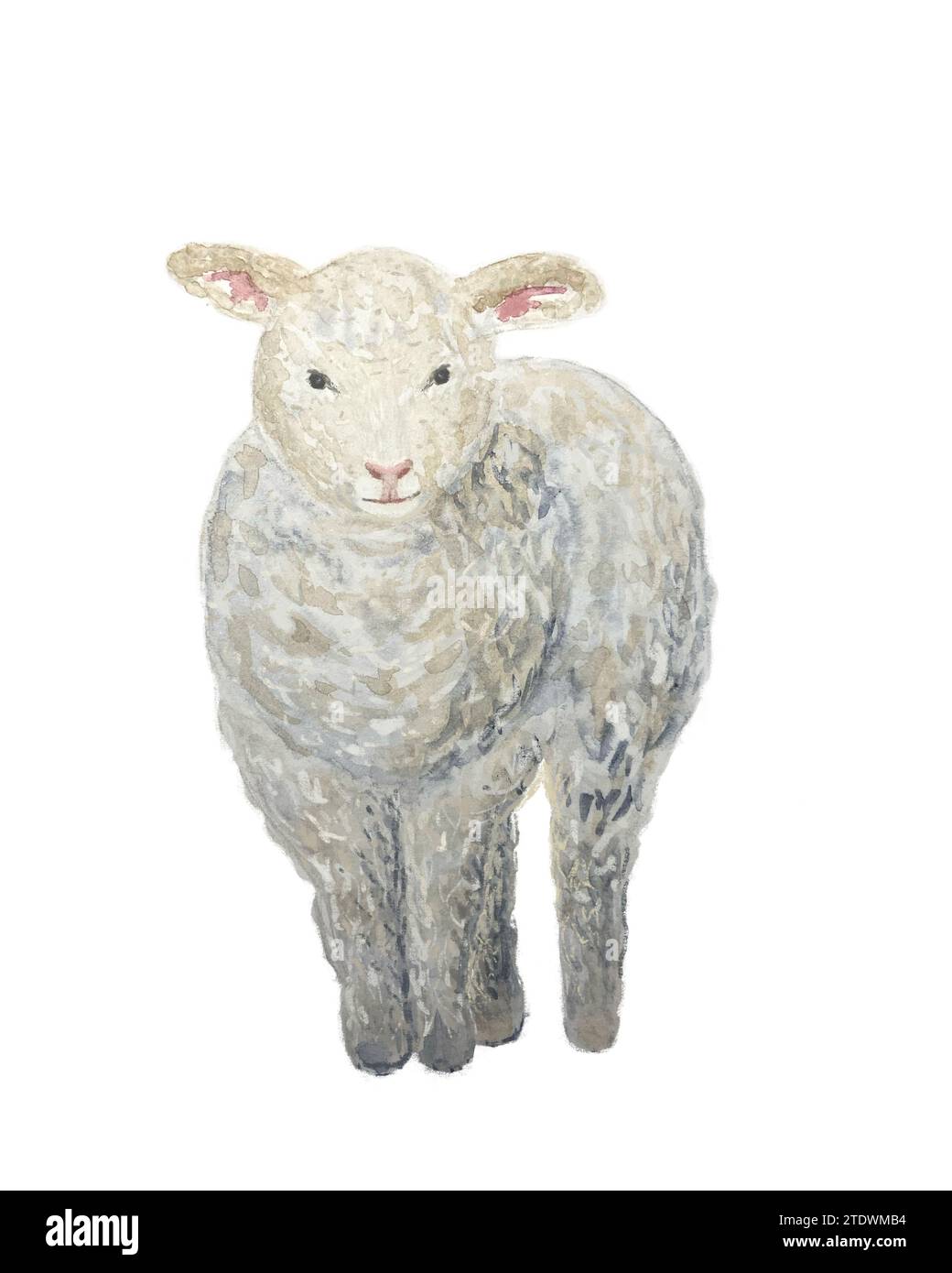 Watercolor lamb with crown of thorns for Easter, holy Thursday ...