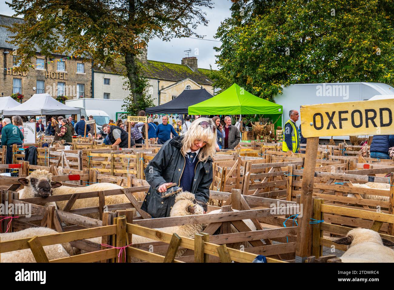 SHEEP MARKET MARSHAM NORTH YORKSHIRE ENGLAND UNITED KINGDOM Stock Photo ...