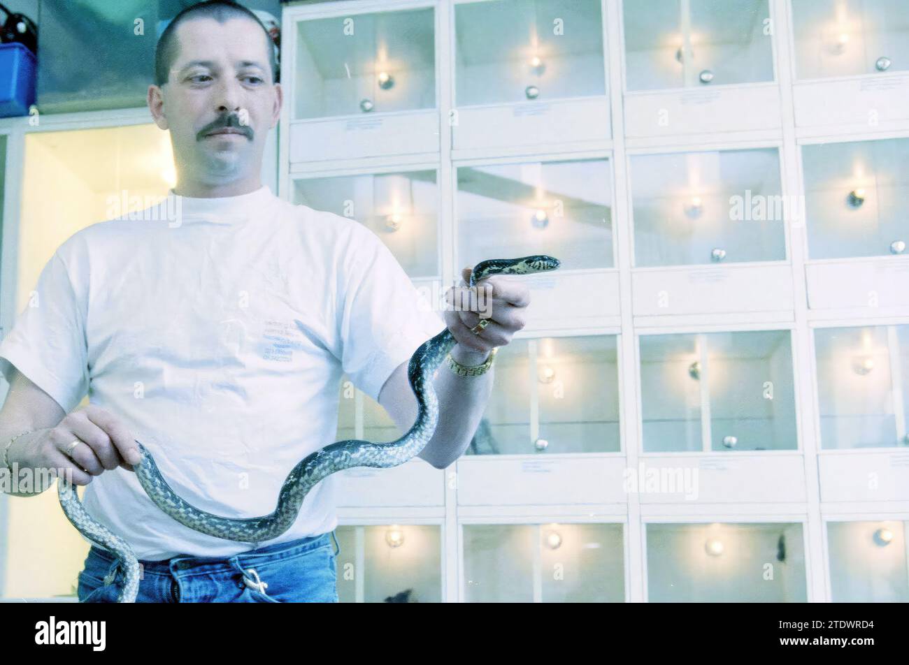 19 04 2000 hi-res stock photography and images - Alamy