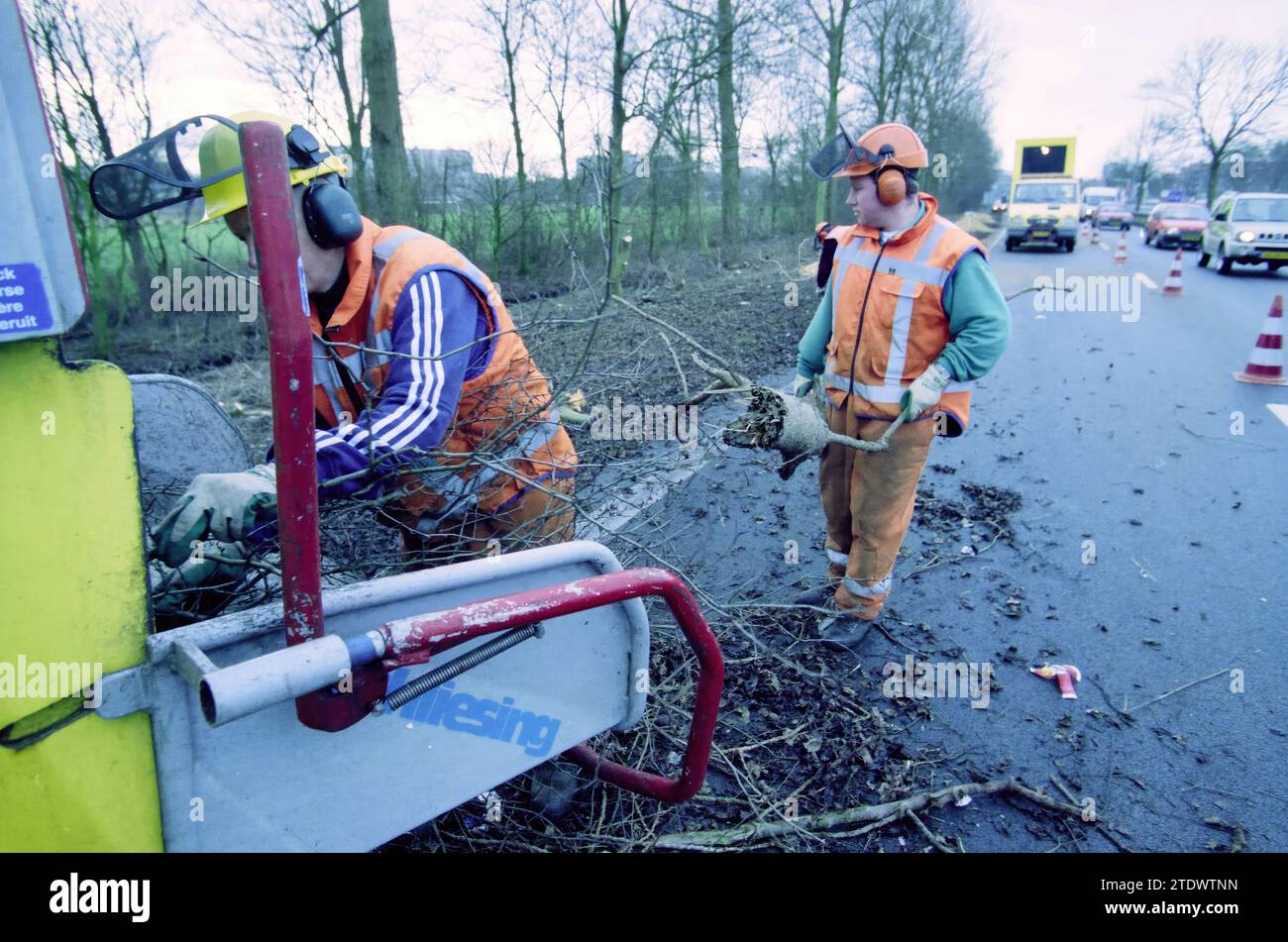 Pruning along the Schipholweg A205 Haarlem, Haarlem, Schipholweg, The ...