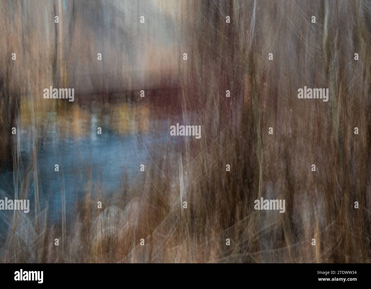 ICM (Intentional Camera Movement) creating a impressionistic rendering ...