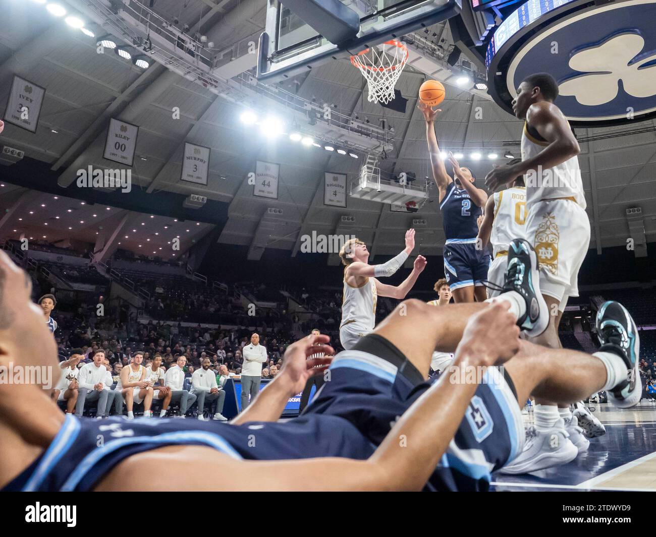 SOUTH BEND, IN - DECEMBER 19: Citadel Bulldogs forward Winston Hill (2 ...