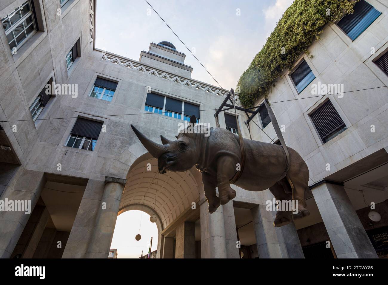 Brescia: Rhino statue is a contemporary art installation by artist ...