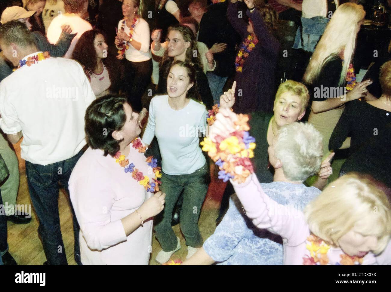 Bison party haarlem hi-res stock photography and images - Alamy