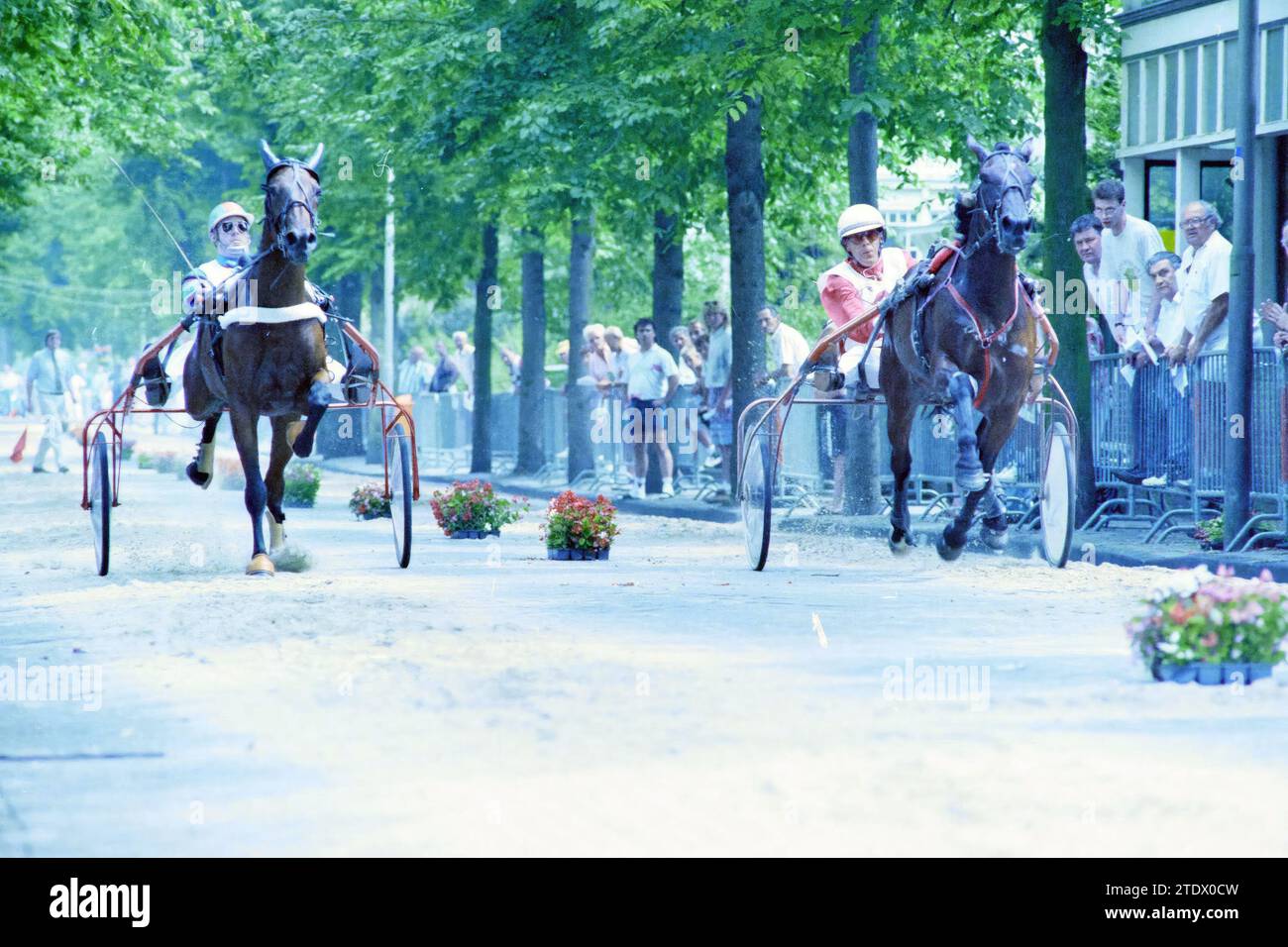 Trotting track hi-res stock photography and images - Alamy