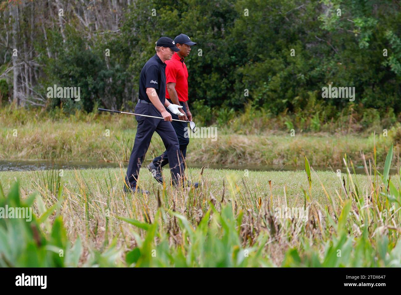 December 17, 2023: Steve Stricker and Tiger Woods during Final Round of ...