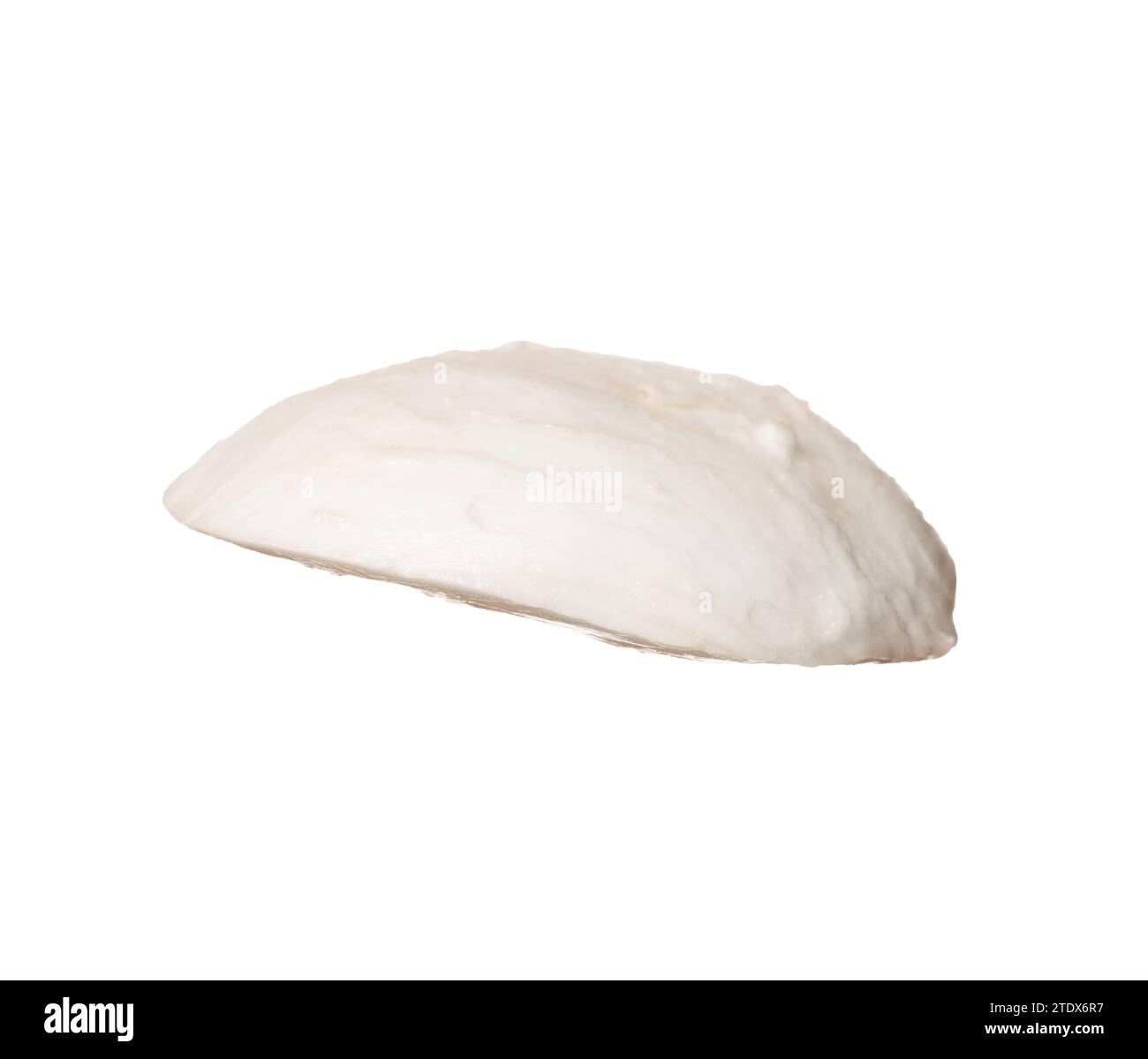 Slice of mozzarella cheese isolated on white Stock Photo - Alamy