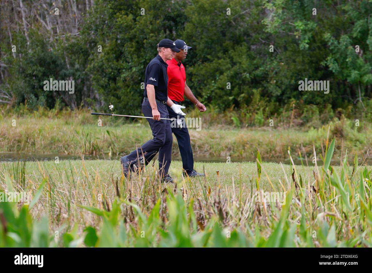 Orlando, Florida, USA. 17th Dec, 2023. Tiger Woods and Steve Stricker ...