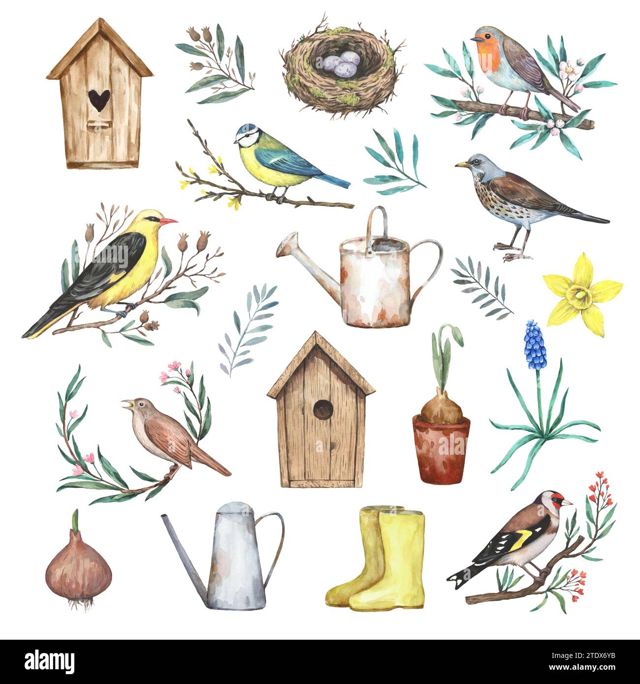 Big set of watercolor garden spring elements, birds on blooming ...